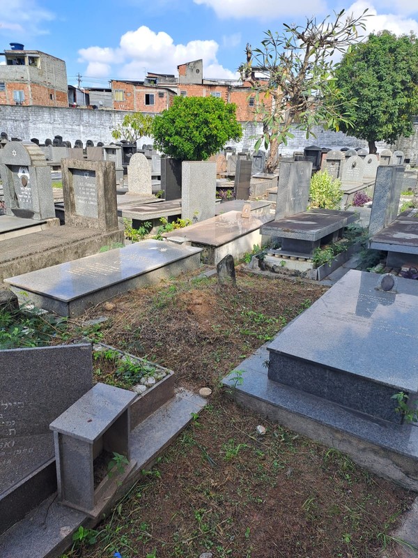 Grupo LGBTQIA+ encontra túmulo da ativista lésbica Rosely Roth sem ...