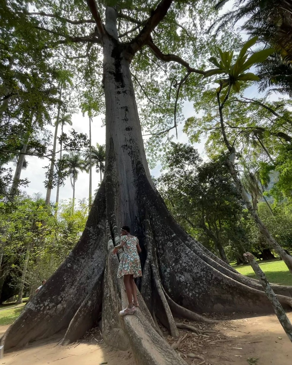 Leandra Leal mostra passeio dos filhos em parque em registros inéditos ...