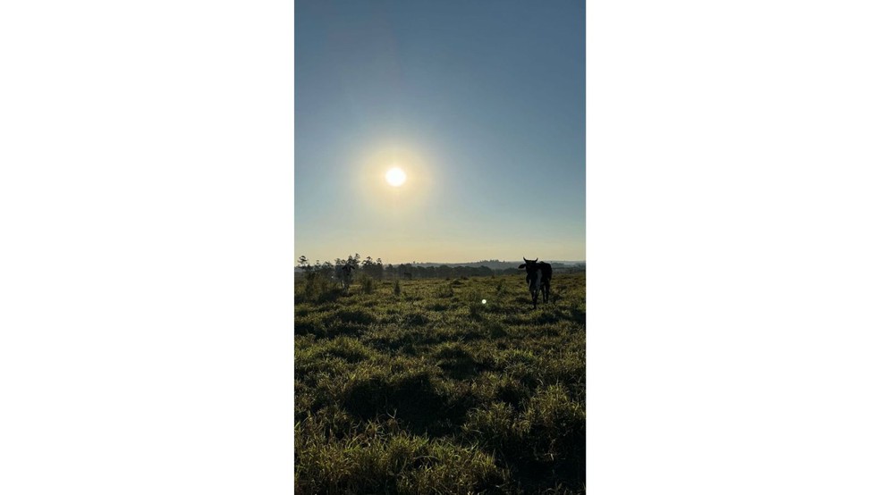 Fabiana Justus aproveita passeio na natureza com filho caçula e recebe ...