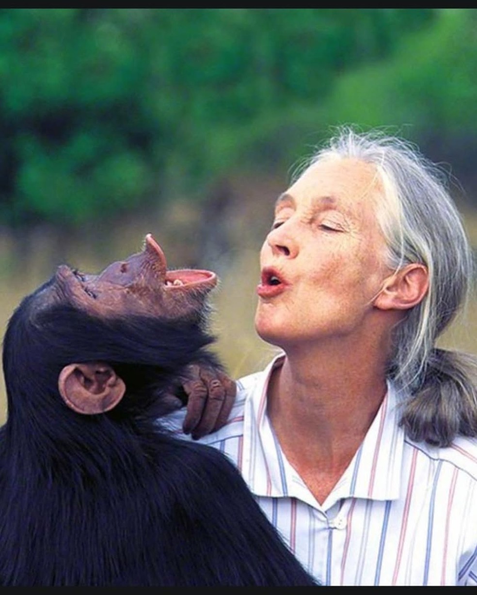 Gisele Bündchen homenageia a cientista Jane Goodall: 'Sua luz e seu legado brilharão para sempre'