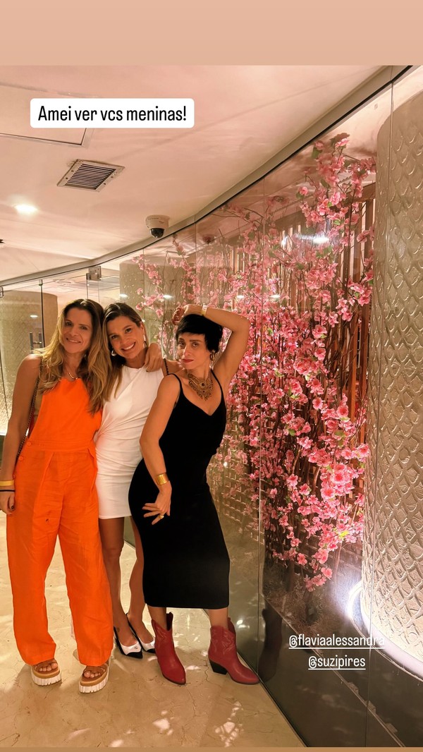 Flávia Alessandra, Ingrid Guimarães e Suzana Pires se reencontram 15 ...