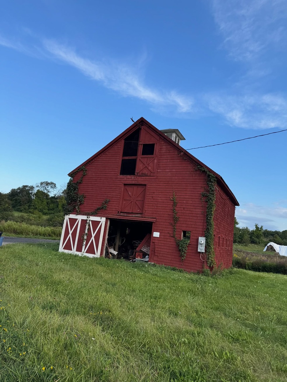Suzana Gullo mostra detalhes da vida da filha com Marcos Mion que mora ...