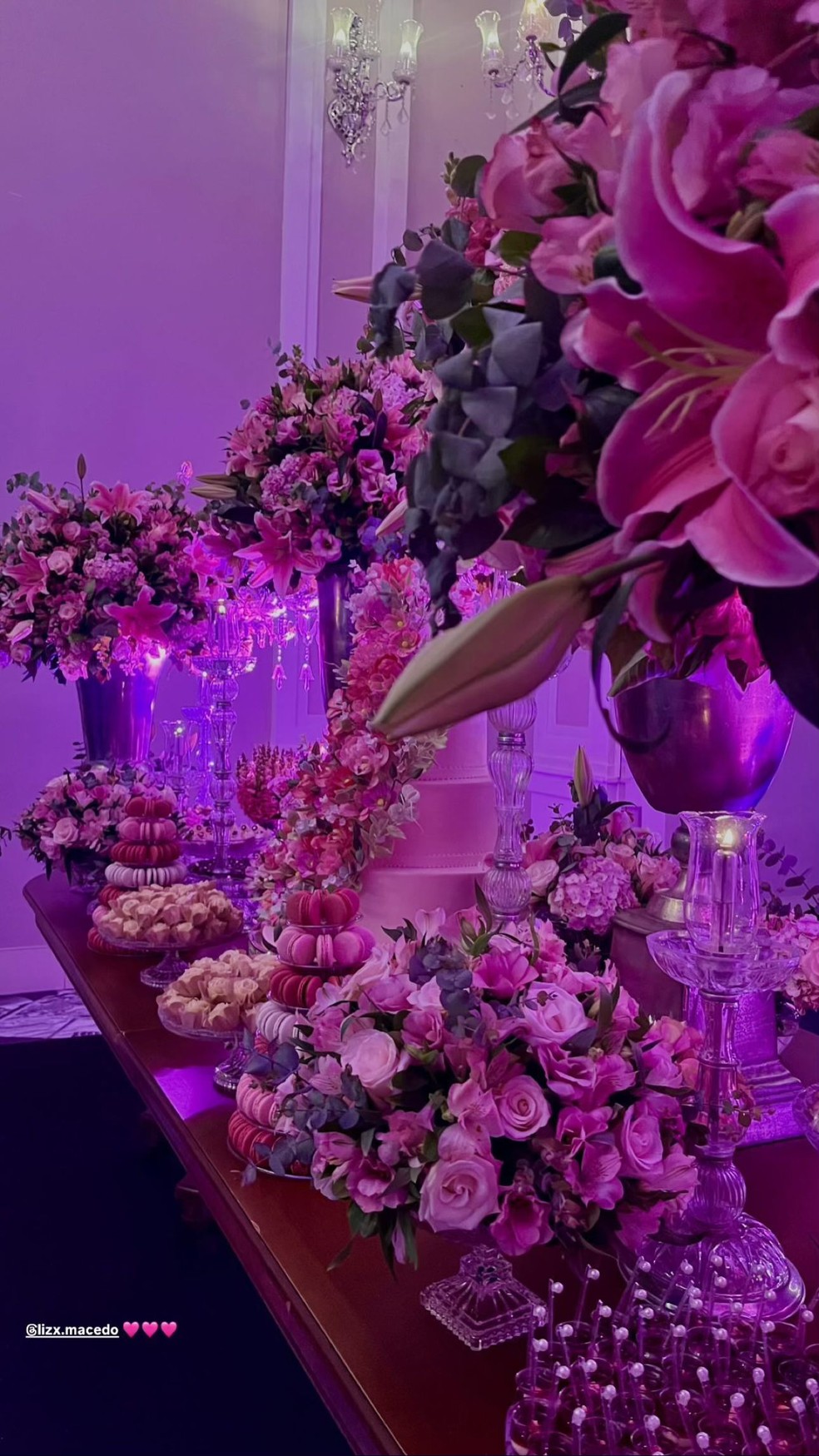 Liz Macedo: saiba quem é a influenciadora que fez festa de 15 anos que ...
