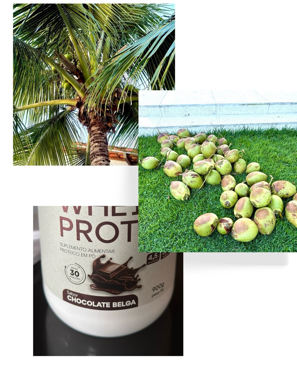 Palomma Duarte mostra momentos em família e explica sumiço das redes ...