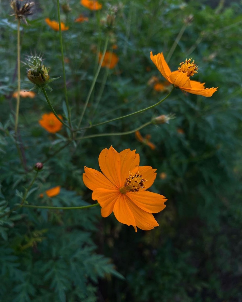 Mari Goldfarb abre álbum de fotos dos 'últimos dias': 'Perfeita'