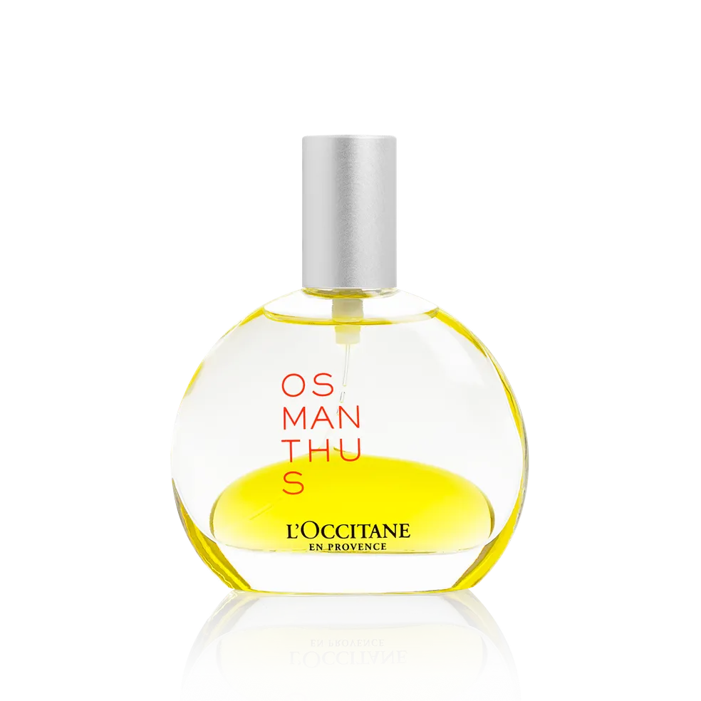 Para além do clássico: 5 perfumes sólidos, em óleo e em gel para ...