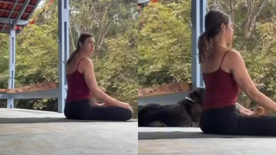 Fernanda Lima faz prática intensa de yoga em meio à natureza e brinca ...