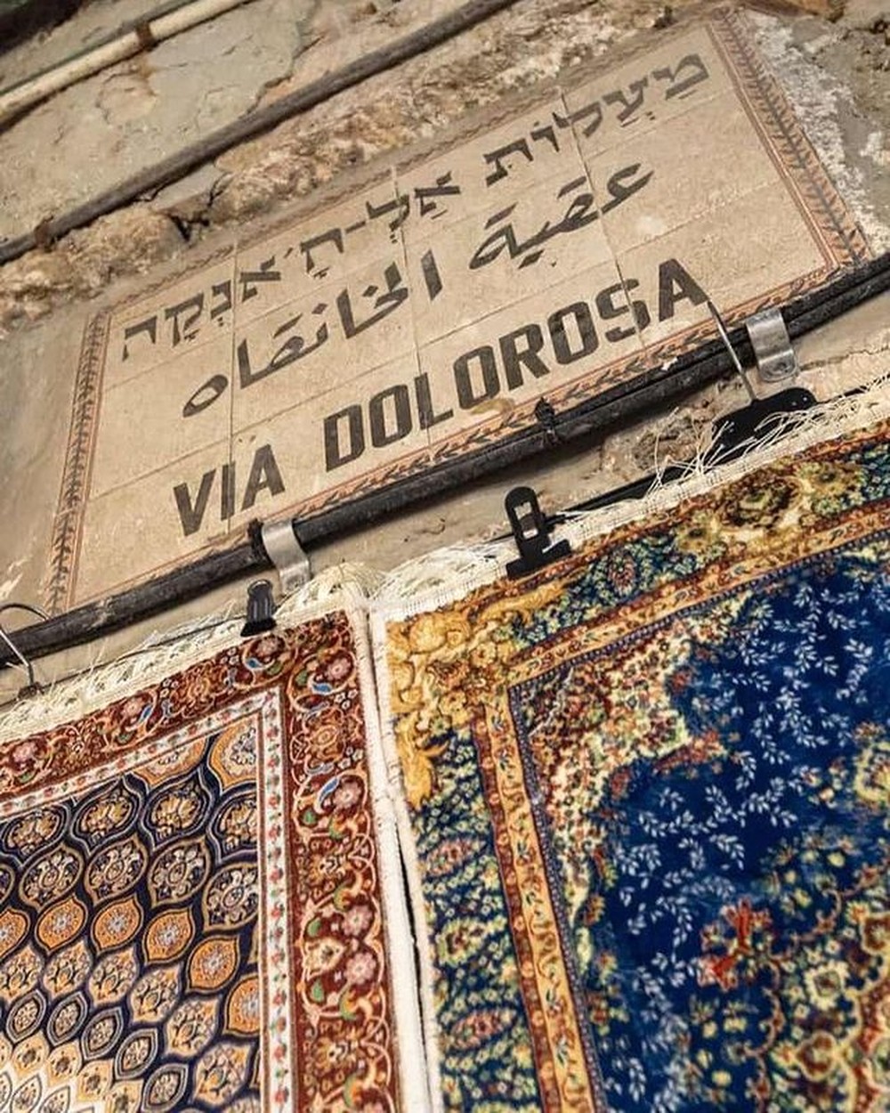 Suzana Gullo abre álbum de fotos ao lado de Mion e filhos em Jerusalém ...