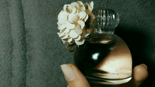 8 perfumes femininos que deixam um rastro inesquecível por onde você passa