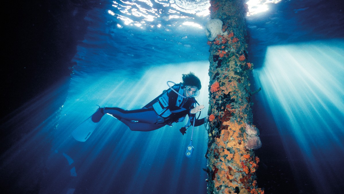 Oceanógrafa de 87 anos viaja o mundo em missão de recuperar e preservar ...