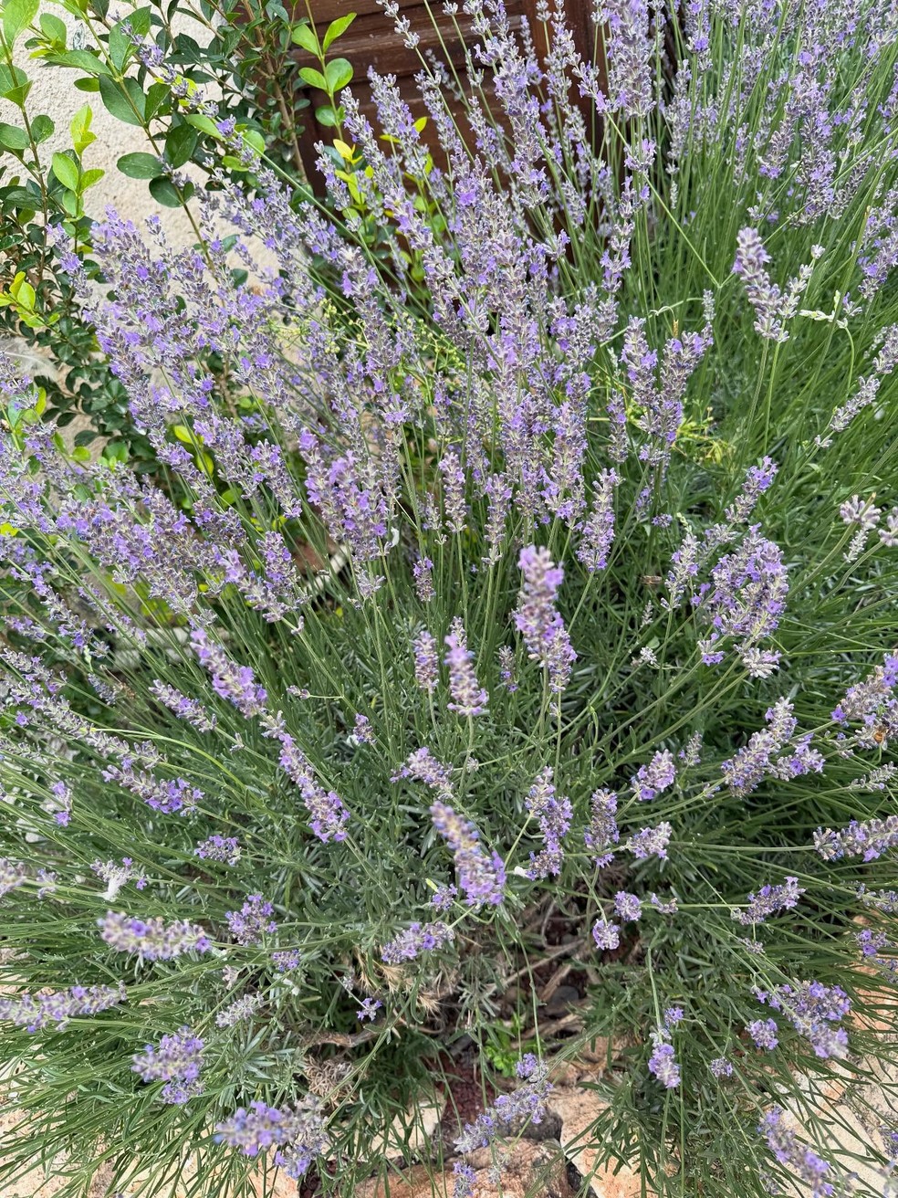 Na Turquia, Giovanna Antonelli mostra hospedagem em hotel-museu com ...