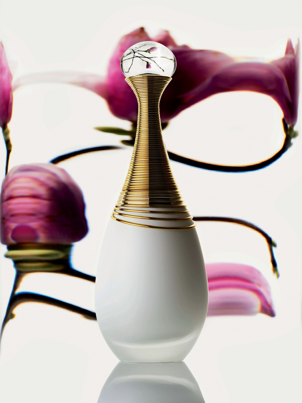 Conheça os perfumes premiados, e mais desejados, da temporada