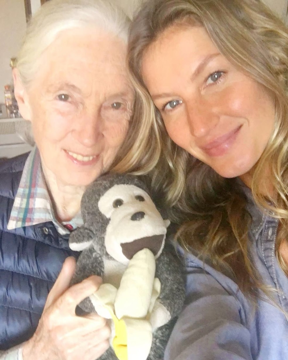 Gisele Bündchen homenageia a cientista Jane Goodall: 'Sua luz e seu legado brilharão para sempre'