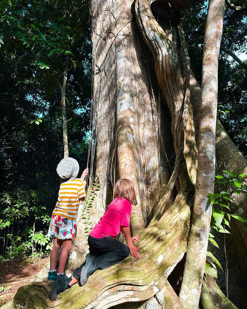 Mel Fronckowiak passeia pela Amazônia ao lado de Rodrigo Santoro ...