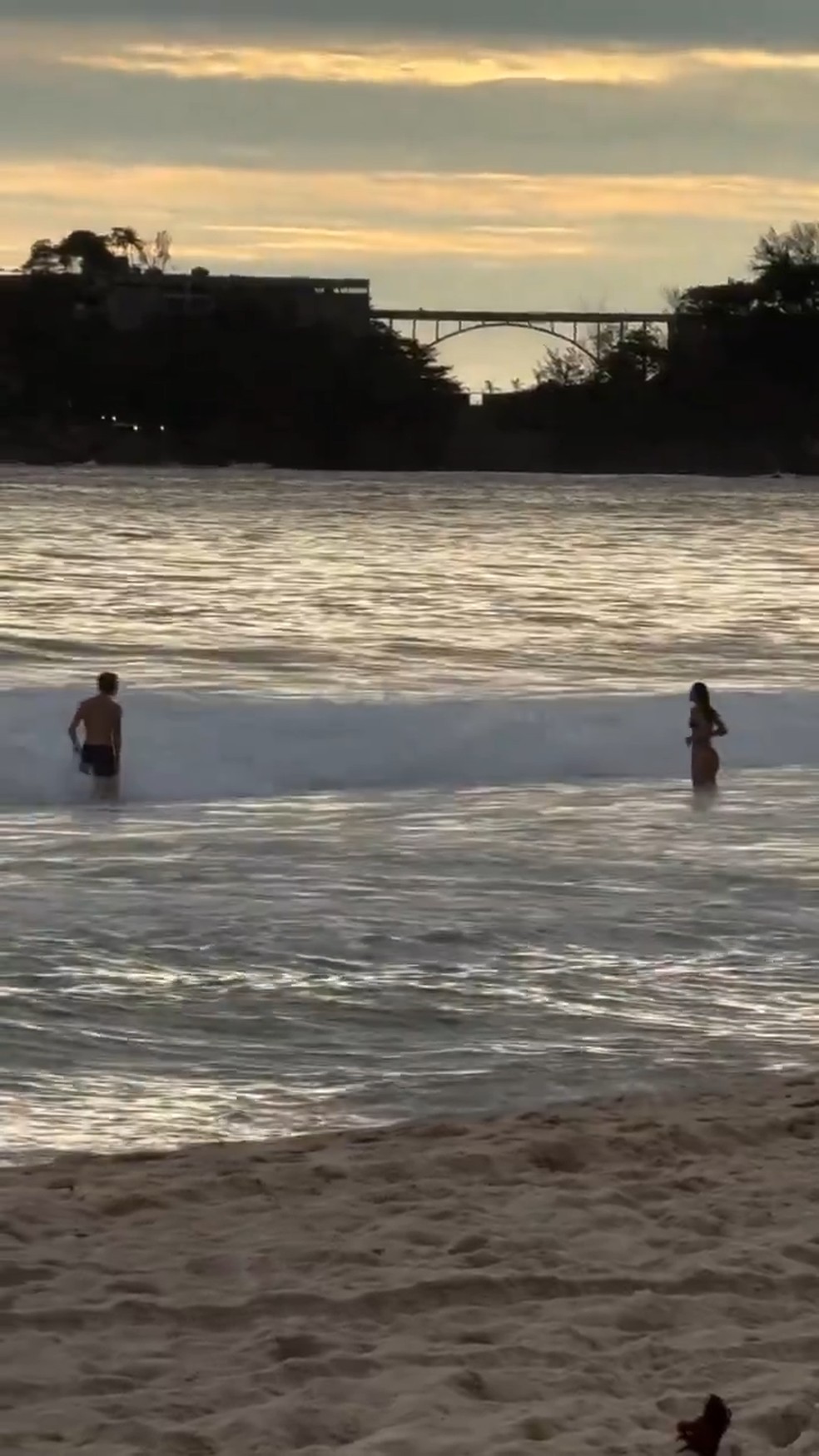 Bruna Marquezine e Shawn Mendes aparecem juntos em voo e fãs filmam; veja vídeo