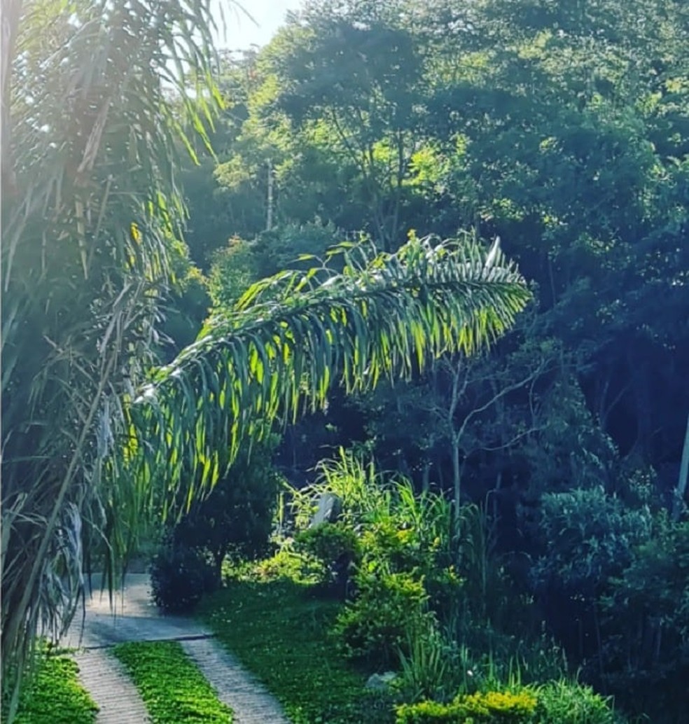 Jout Jout: tudo sobre a youtuber que desapareceu e ressurgiu anos depois