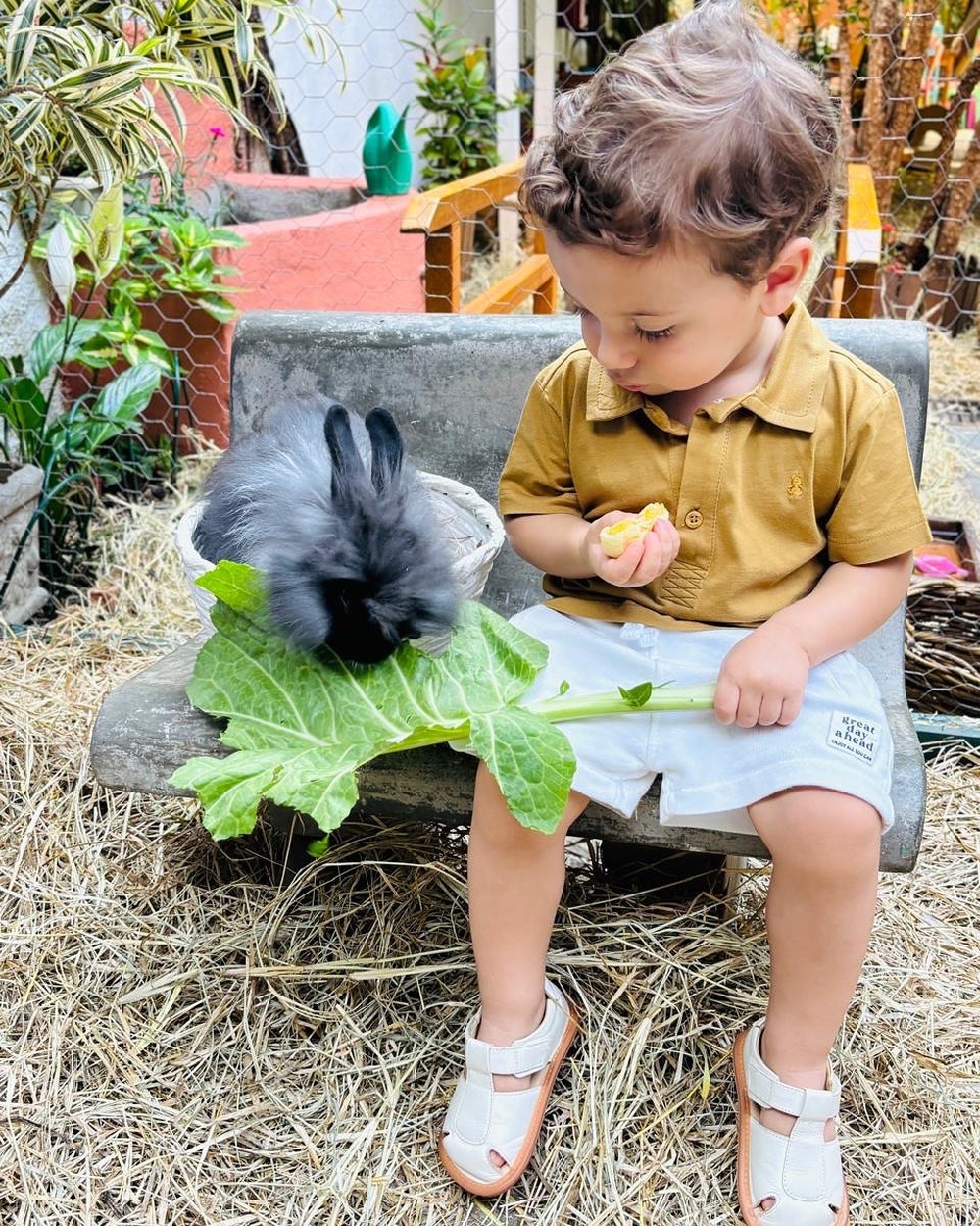 Claudia Raia publica momentos inéditos do filho, Lucca: 'Cada dia mais ...