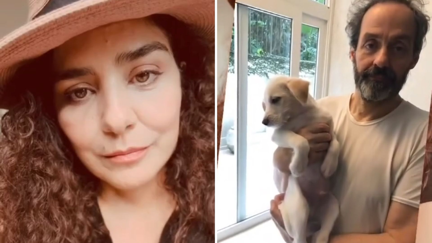 Letícia Sabatella faz apelo e diz que seus cachorros foram colocados ...