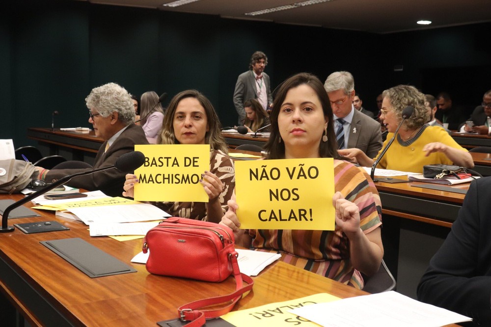 Sâmia Bomfim sobre violência de gênero na CPI do MST e denúncia de PL ...