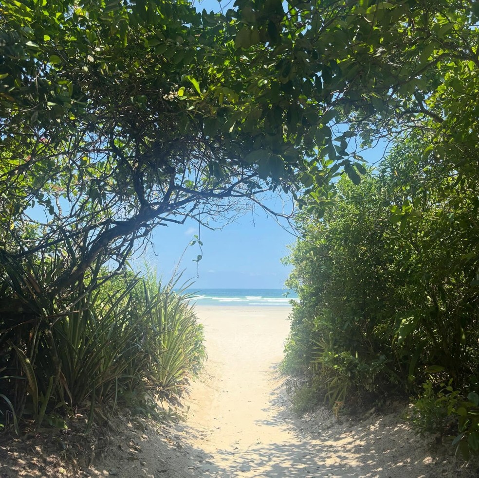 Solteira, Suzana Alves toma banho de mar e posa de biquíni durante ...