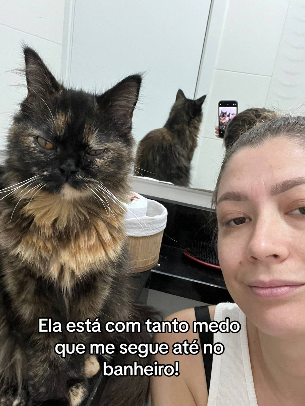 Mulher arrisca a vida para salvar gata após perder tudo em tragédia no ...