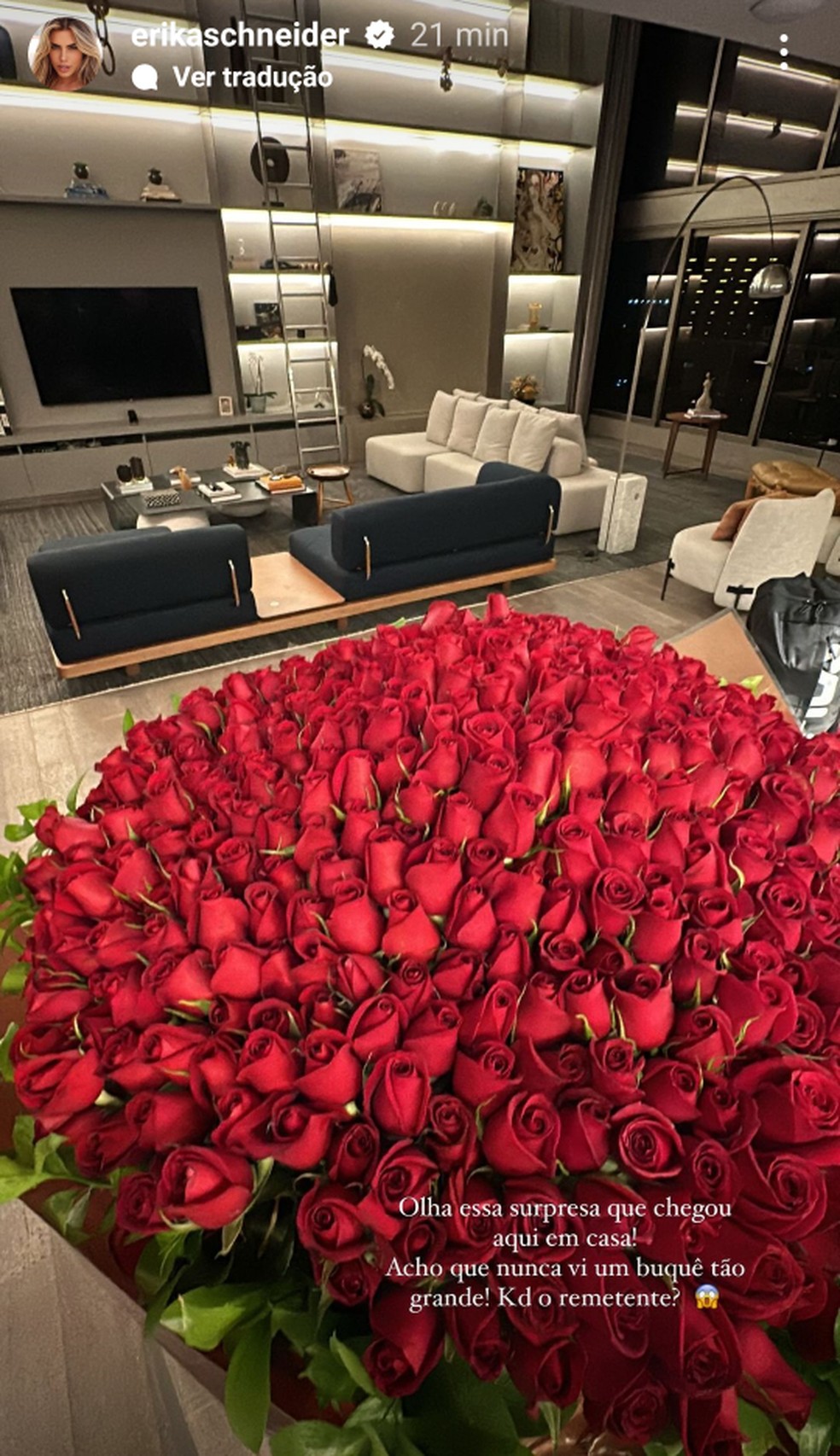 Erika Schneider recebe buquê gigante de admirador secreto: 'Cadê o ...