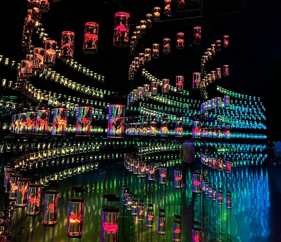 Rafa Kalimann abre álbum de fotos em Dubai: 'Conhecer o destino número ...