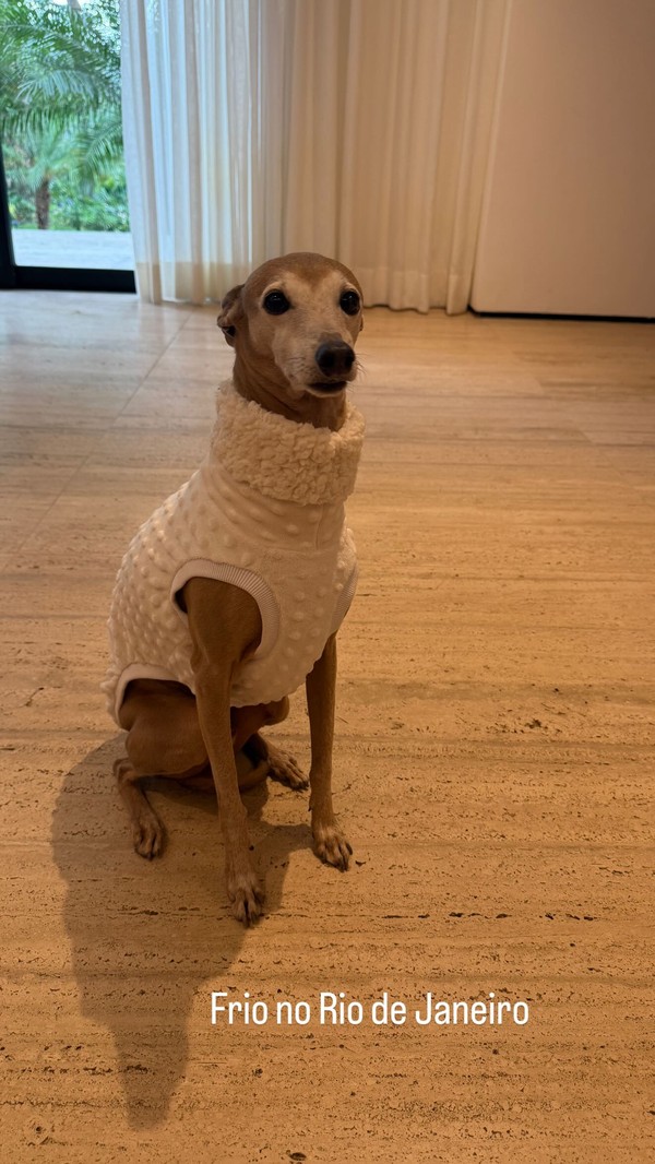 Anitta revela estar no Brasil ao exibir Plínio todo encasacado: 'Frio ...