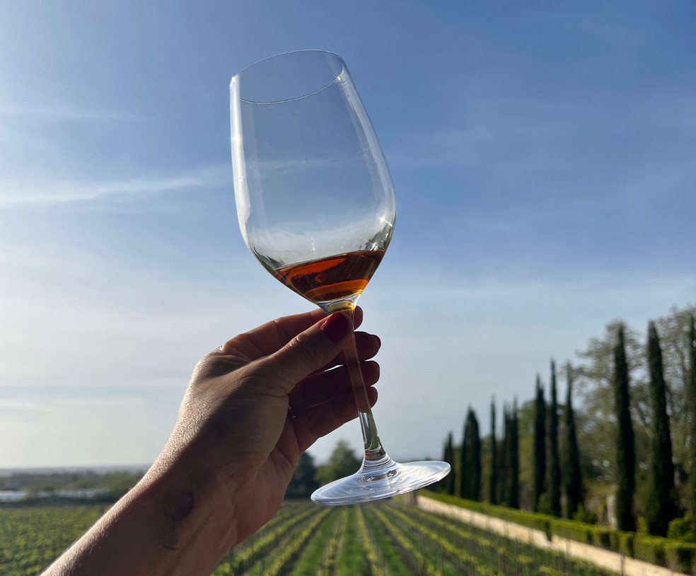 O segredo do Moscatel de Setúbal: o que torna esse vinho tão especial?