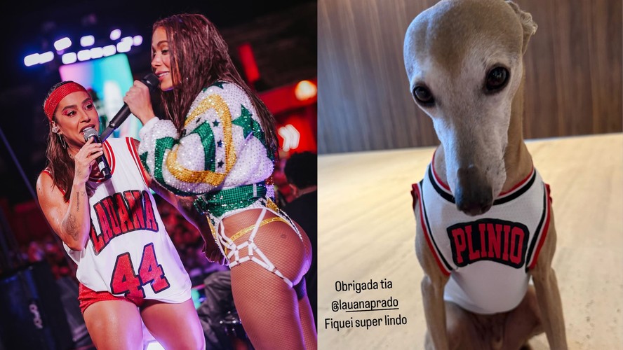Anitta mostra presente que Lauana Prado, a 'sertaneja das supercoxas' deu para o seu cachorro ...