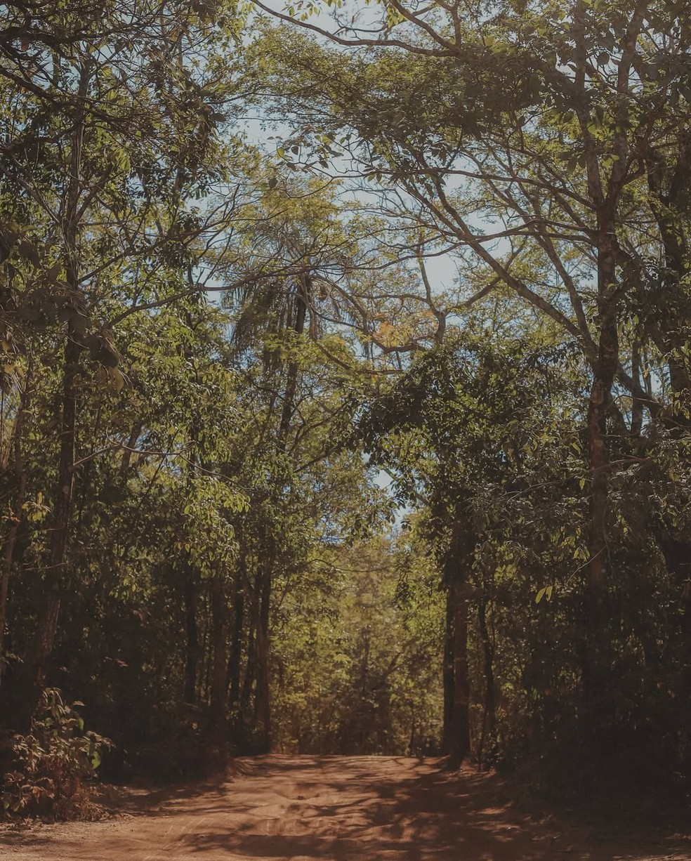 De maiô, Giulia Costa abre álbum dando mergulho em cachoeira no Cerrado ...