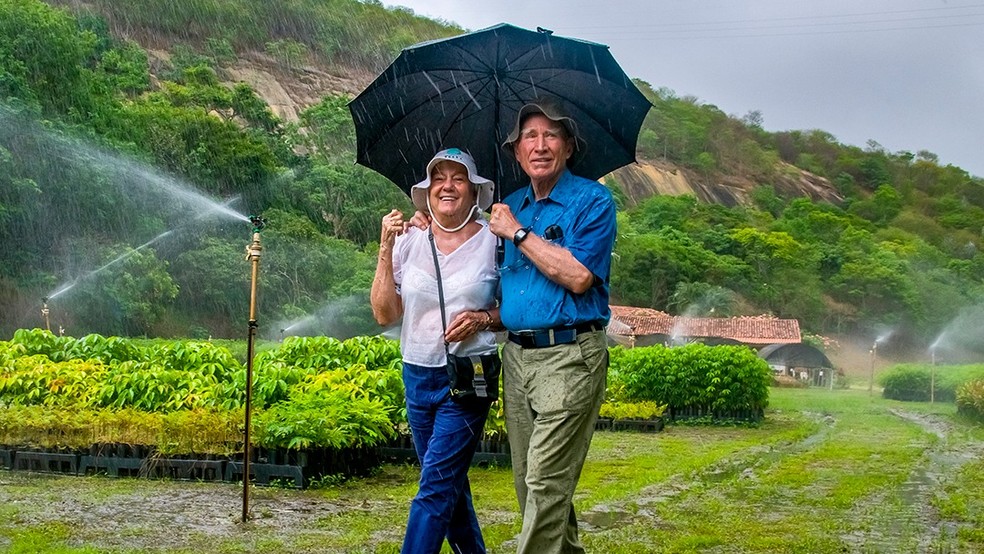 Quem é Lélia Wanick Salgado, companheira de Sebastião Salgado que ...