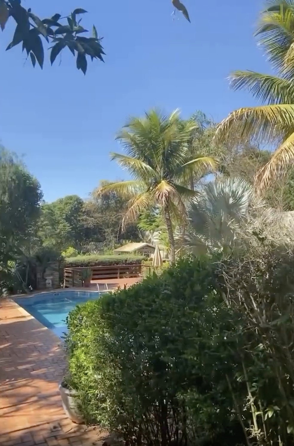 Bianca Bin mostra detalhes de sítio onde mora com Sérgio Guizé no interior de São Paulo